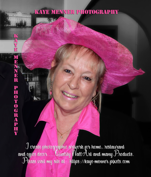 Kaye Menner - Official Website